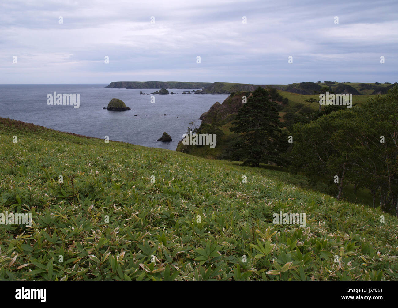 Oceanic coast of Shikotan island Stock Photo - Alamy