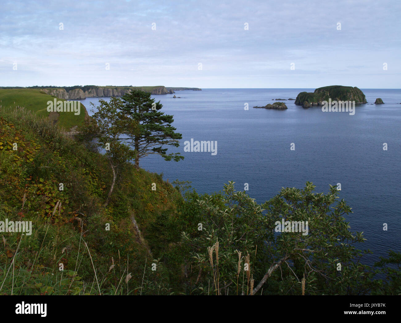 Oceanic coast of Shikotan island Stock Photo - Alamy