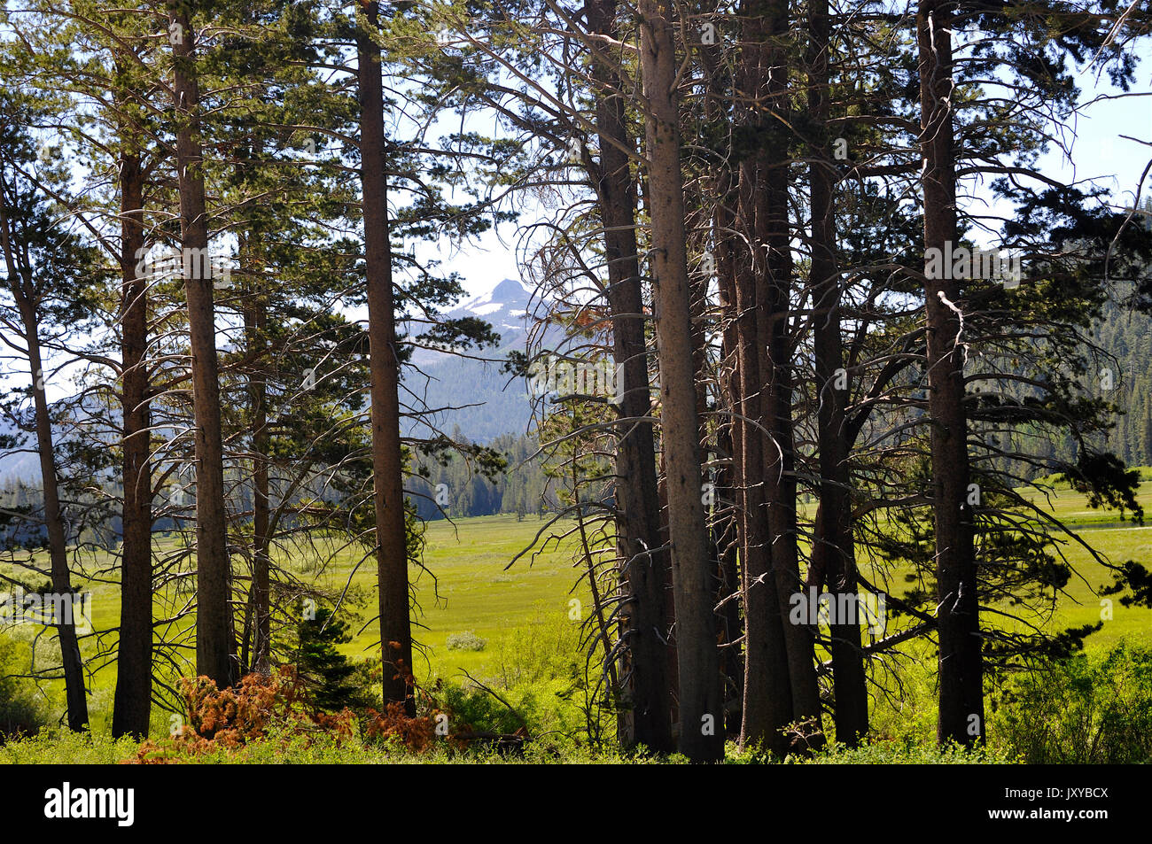 Markleville hi-res stock photography and images - Alamy