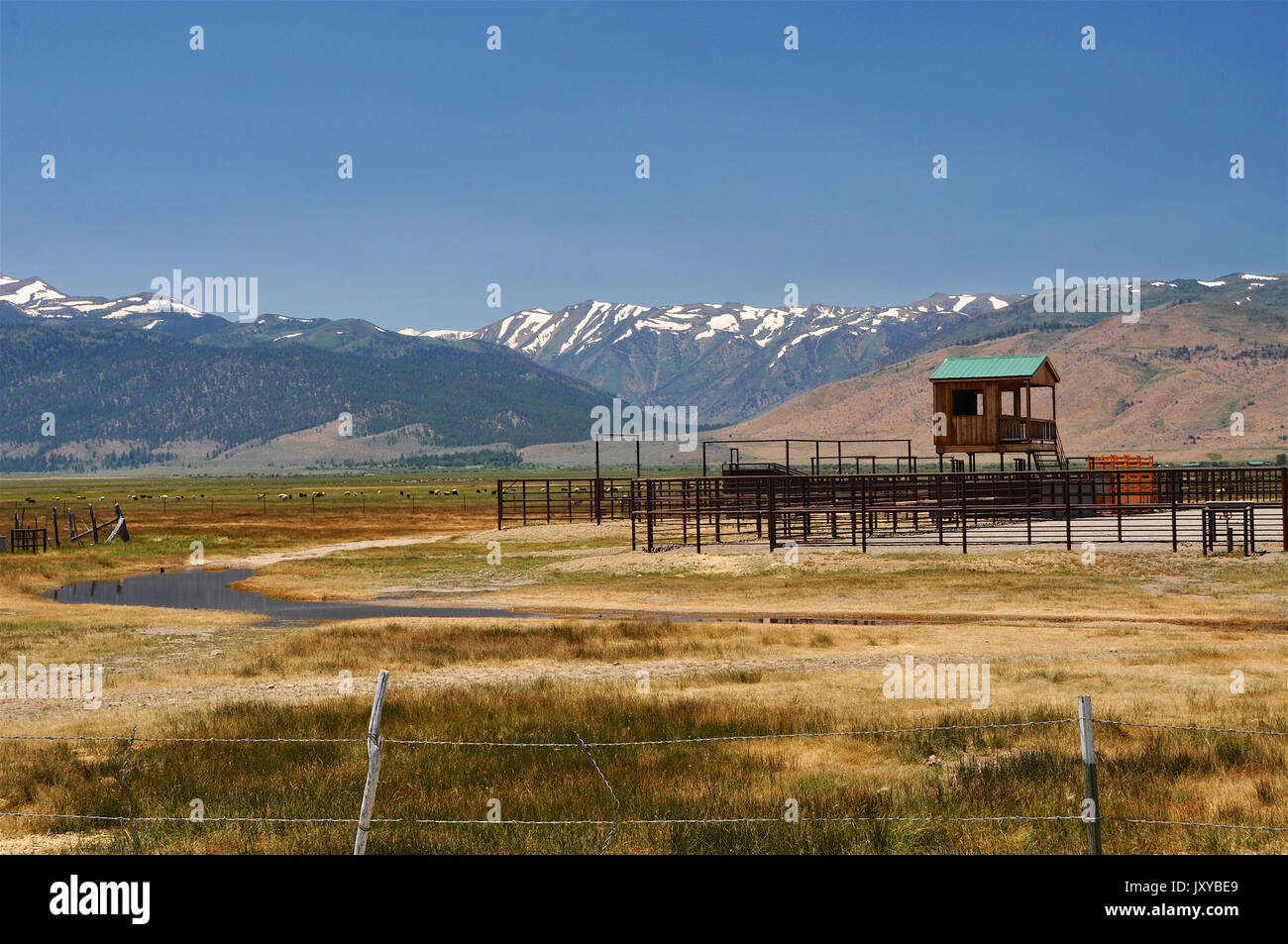 Bridgeport california hi-res stock photography and images - Alamy
