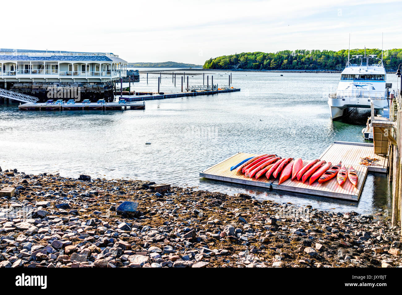 Bar Harbor, USA - June 8, 2017: View of dock and many kayak boats in ...