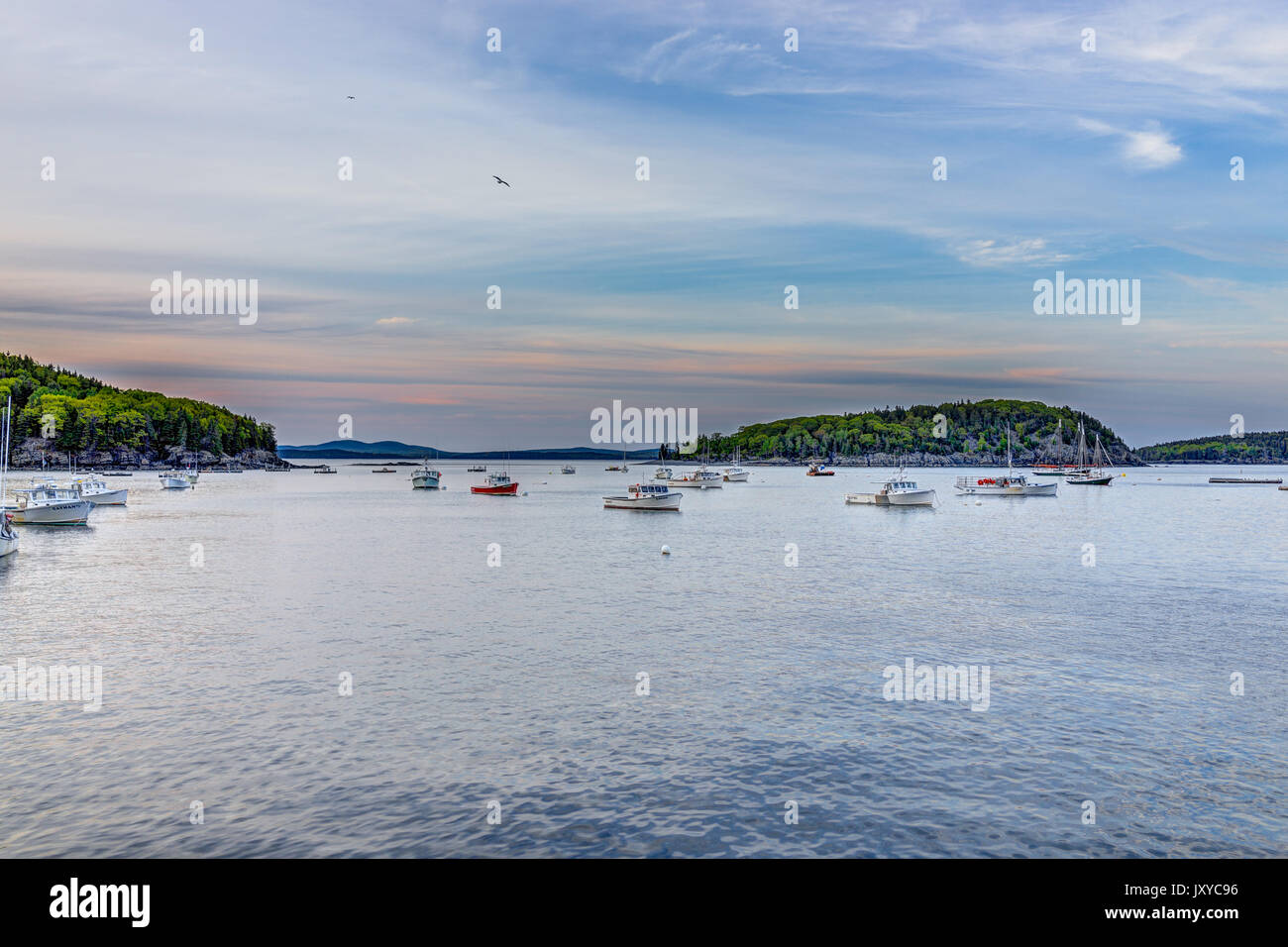 Bar Harbor, USA - June 8, 2017: Sunset in Bar Harbor, Maine village ...