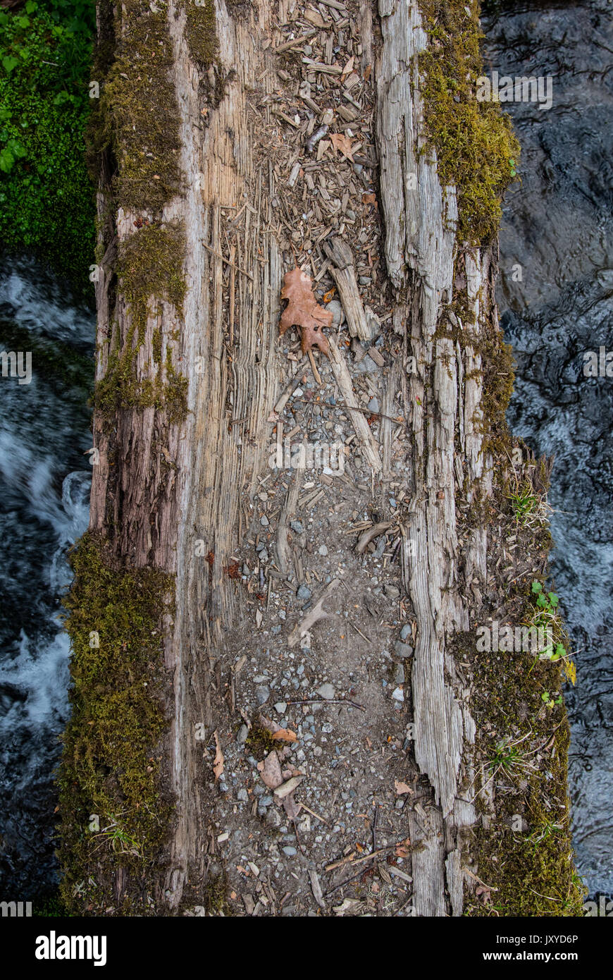 Crossing log hi-res stock photography and images - Alamy