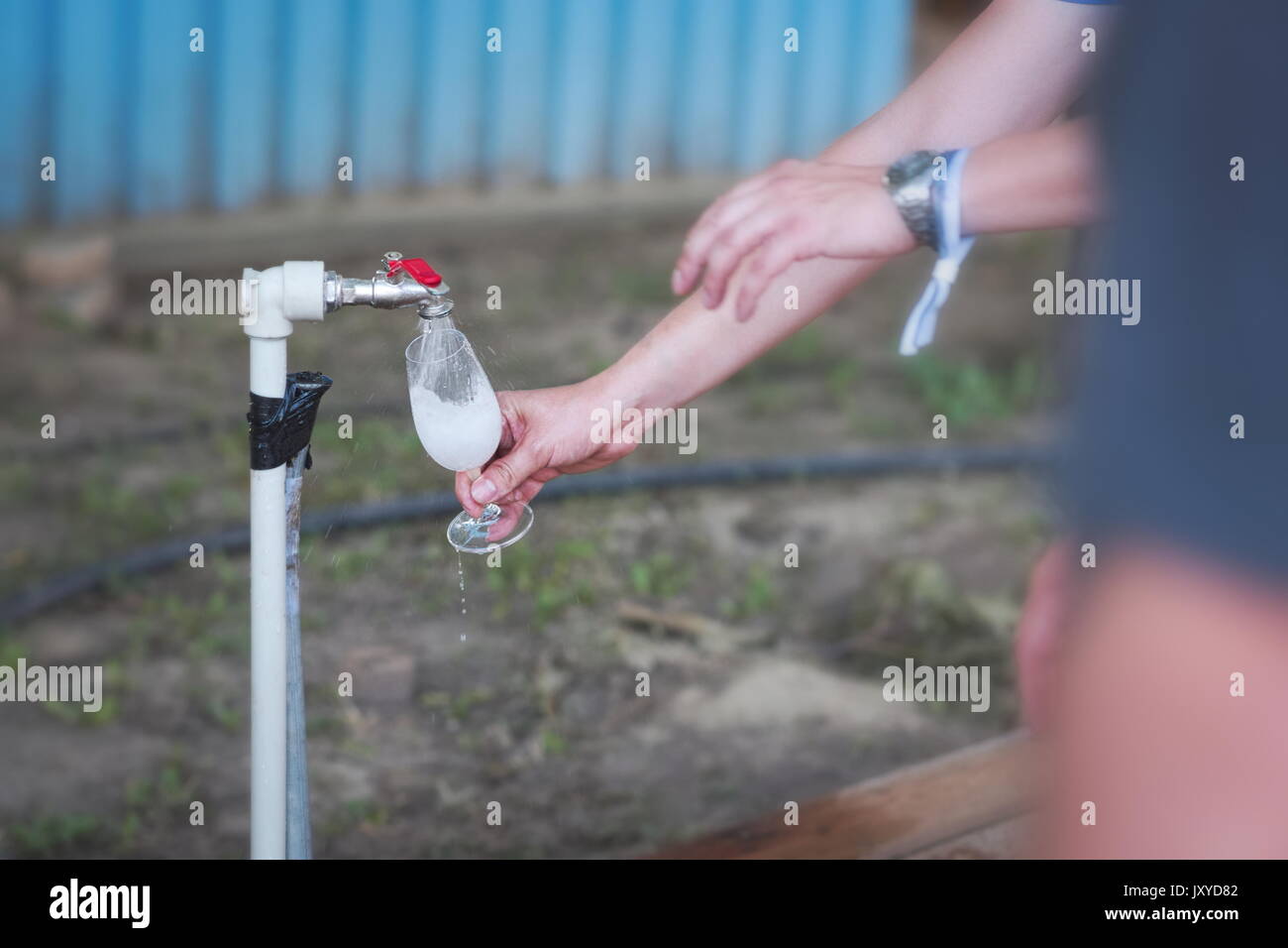 Washing Wine Glass at Wine Festival Outdoor Tap Stock Photo - Alamy