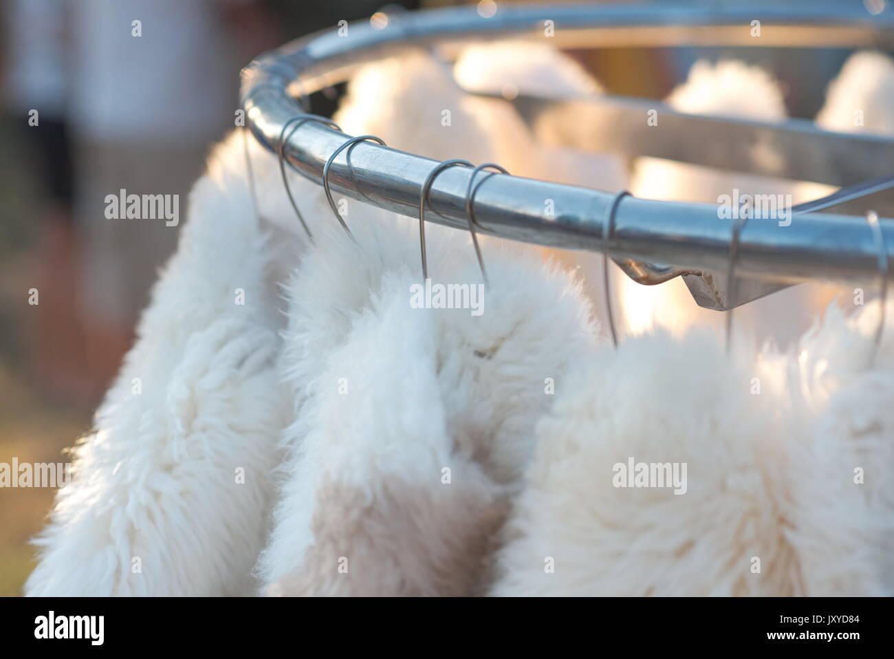 Hanging White Sheep Furs Outdoor for Sale Stock Photo - Alamy