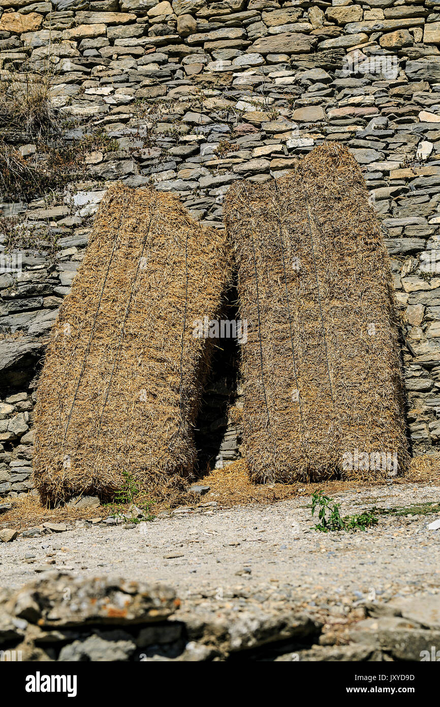 straw in a wall of stones Stock Photo - Alamy