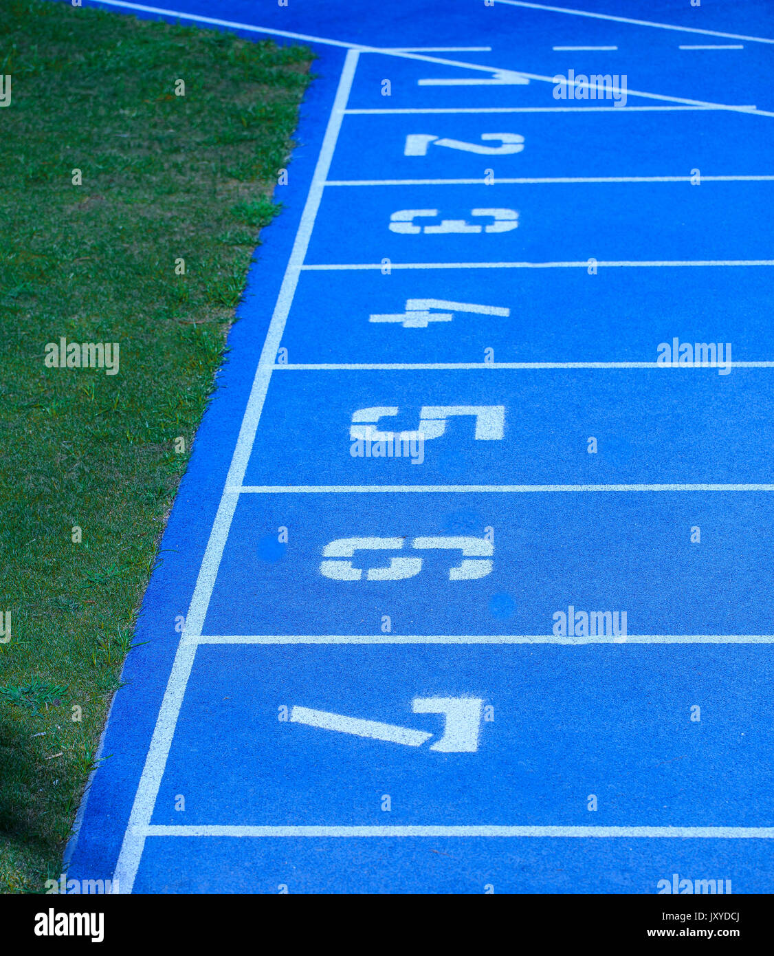 Blue athletic track in a stadium Stock Photo - Alamy