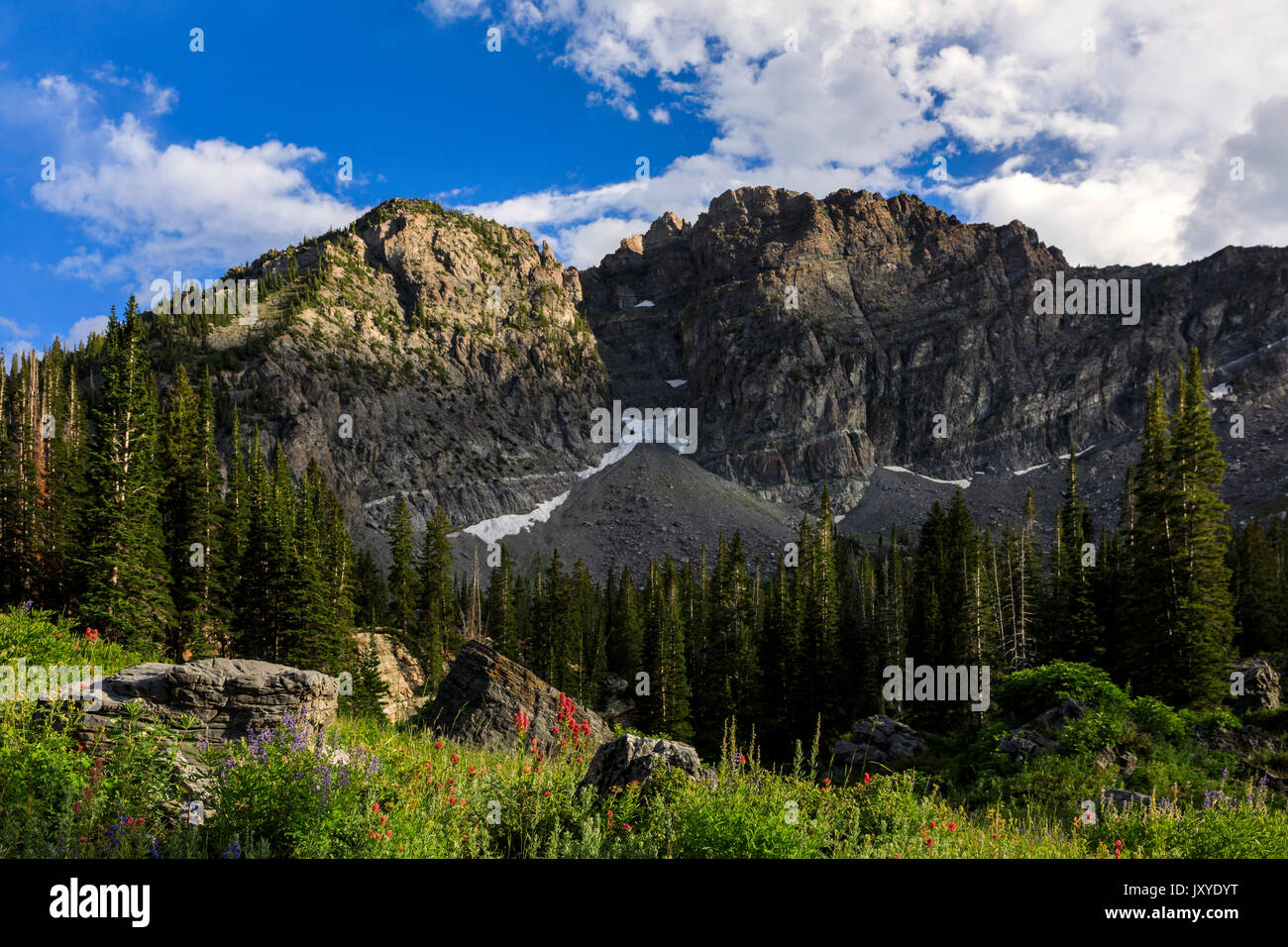 The late afternoon sun lights up the top of the landmark mountain Devil ...