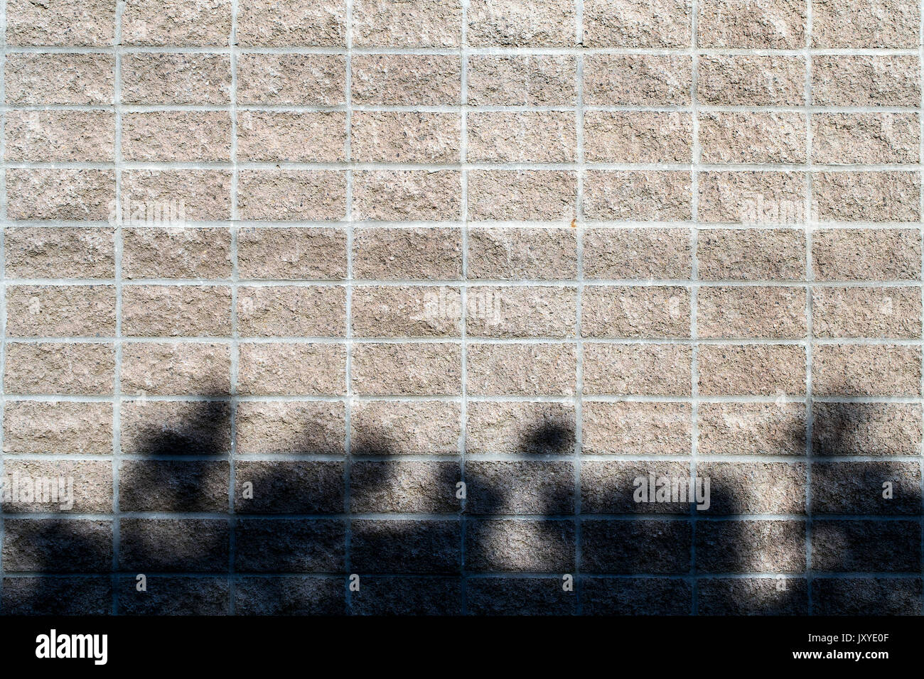Old weathered brick wall featuring plant shadows at the base - texture ...