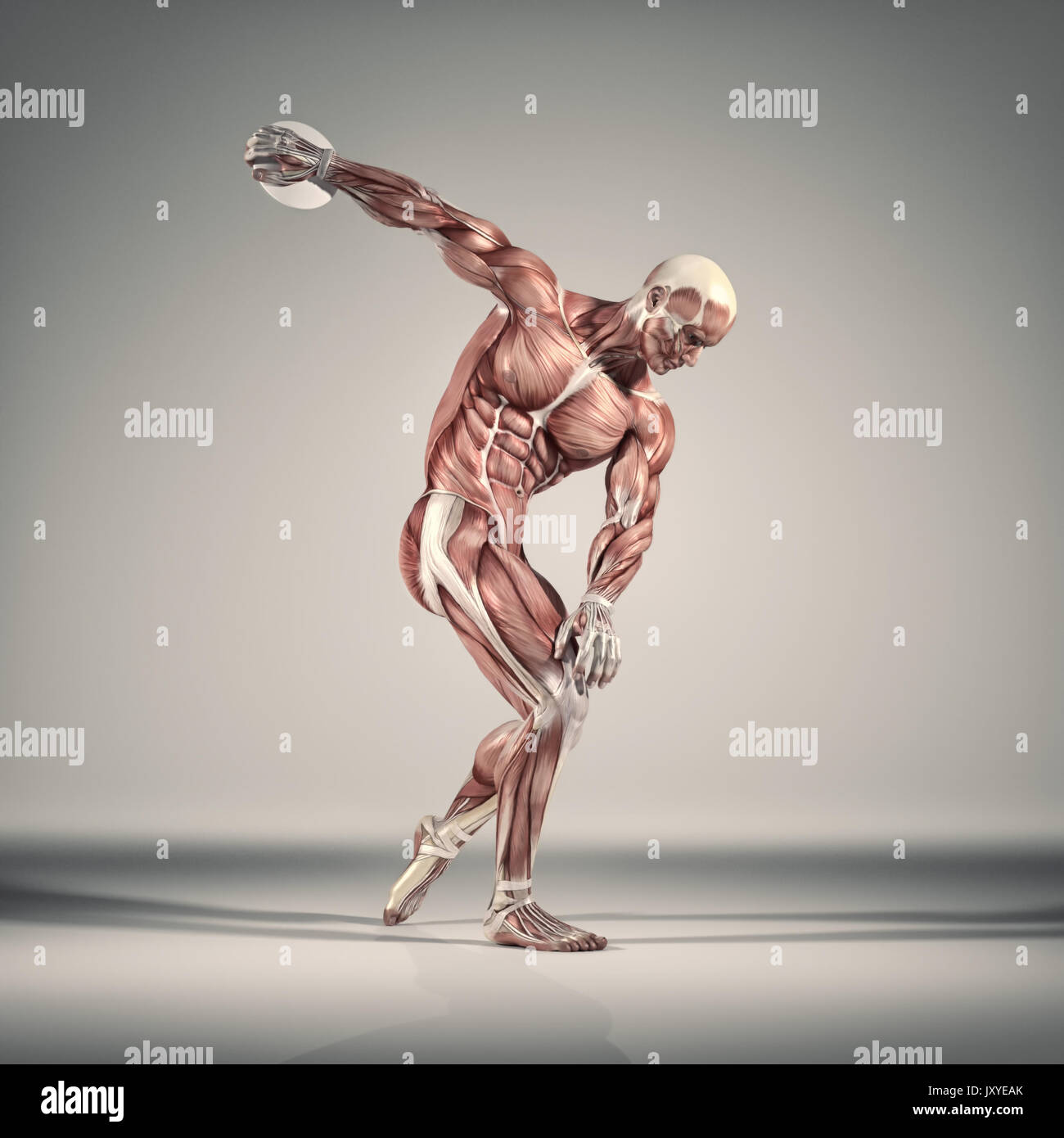 Anatomy Of Athlete Throwing Discus High Resolution Stock Photography ...