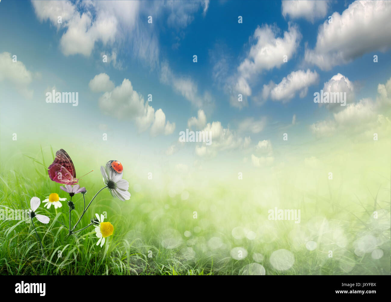 Spring background with flowers and ladybug Stock Photo - Alamy