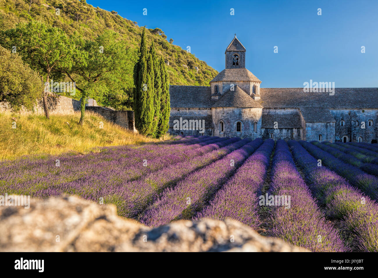 Lavender fields at Senanque monastery in Provence, France Stock Photo ...