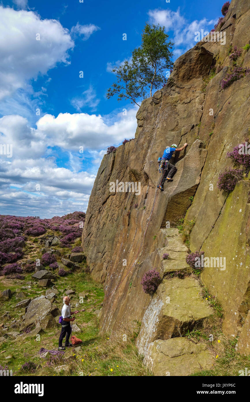 Rock climber in Millstone Quarry with purple heather, Peak District ...