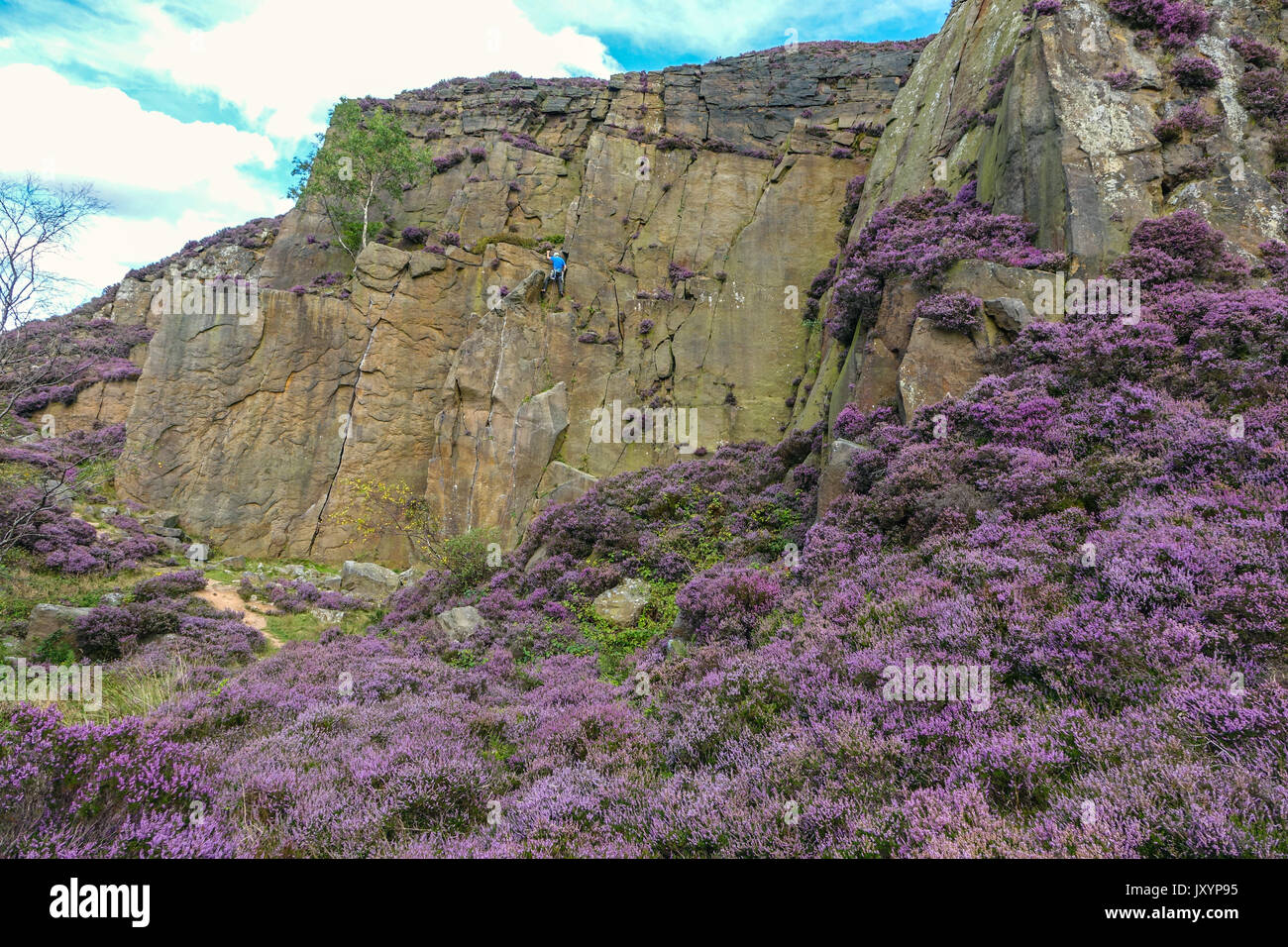 Derbyshire england summer quarry hi-res stock photography and images ...