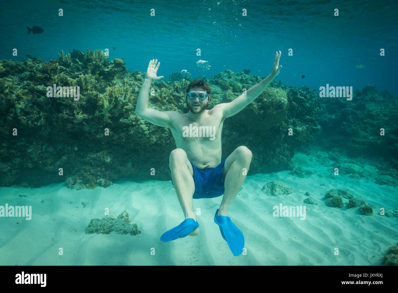 Portrait of smiling man swimming underwater in ocean Stock Photo - Alamy
