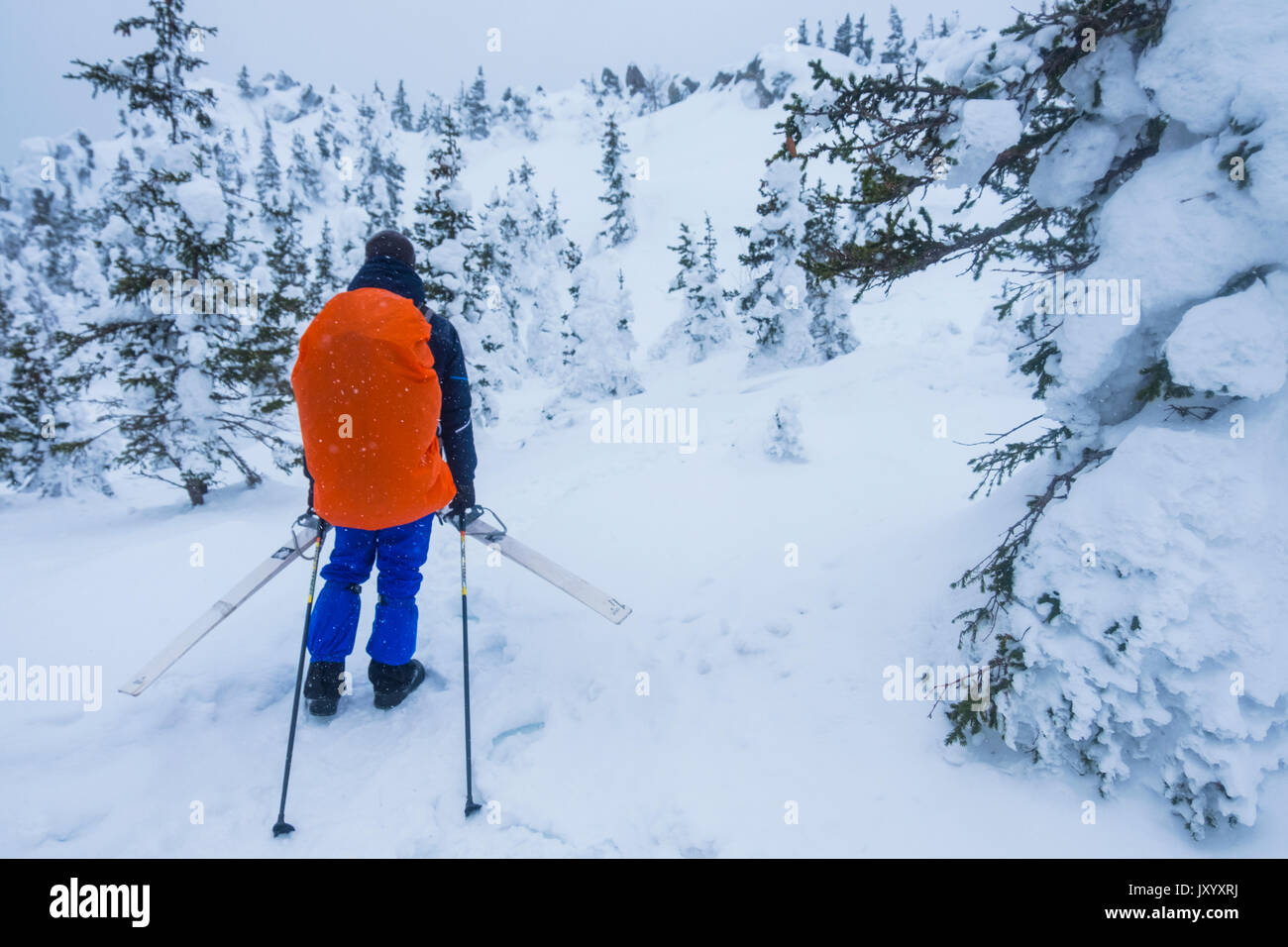 Hiker with skis on the back hi-res stock photography and images - Alamy