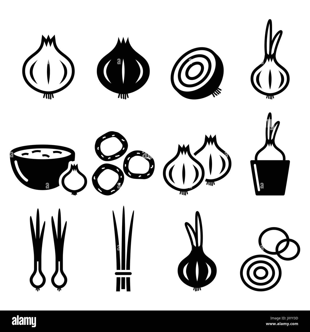 Onion half sprouting cut Stock Vector Images - Alamy