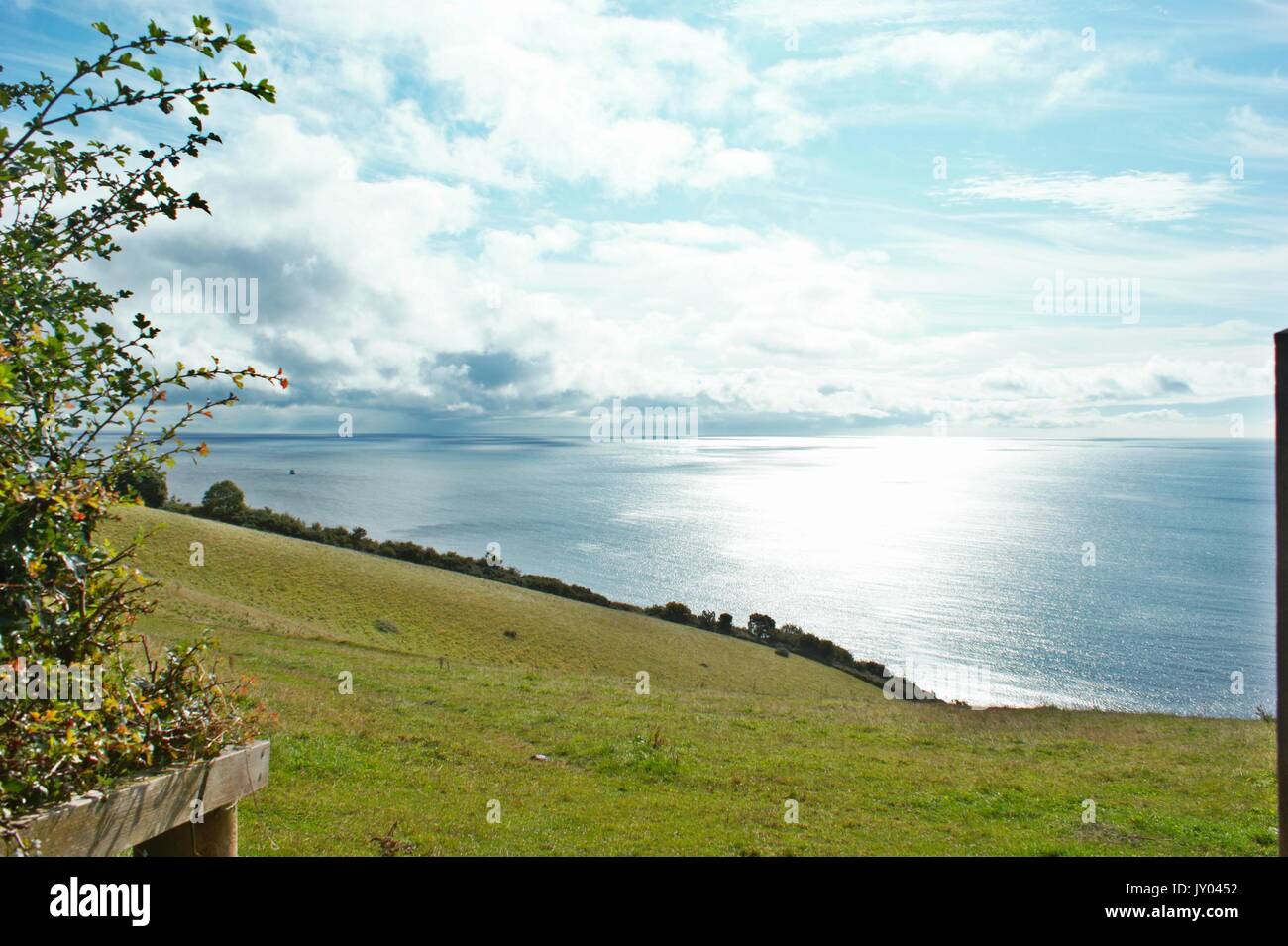 Labrador bay devon hi-res stock photography and images - Alamy