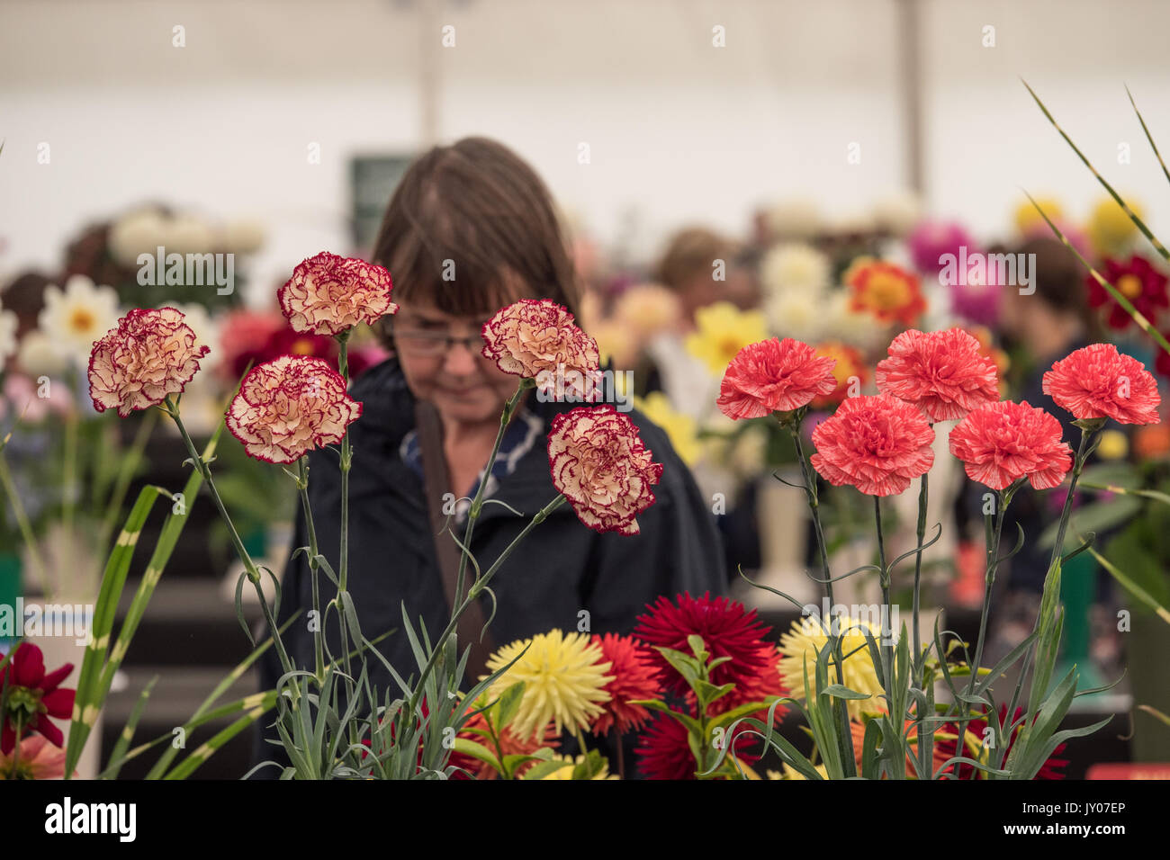 Malvern three counties showground hi-res stock photography and images ...