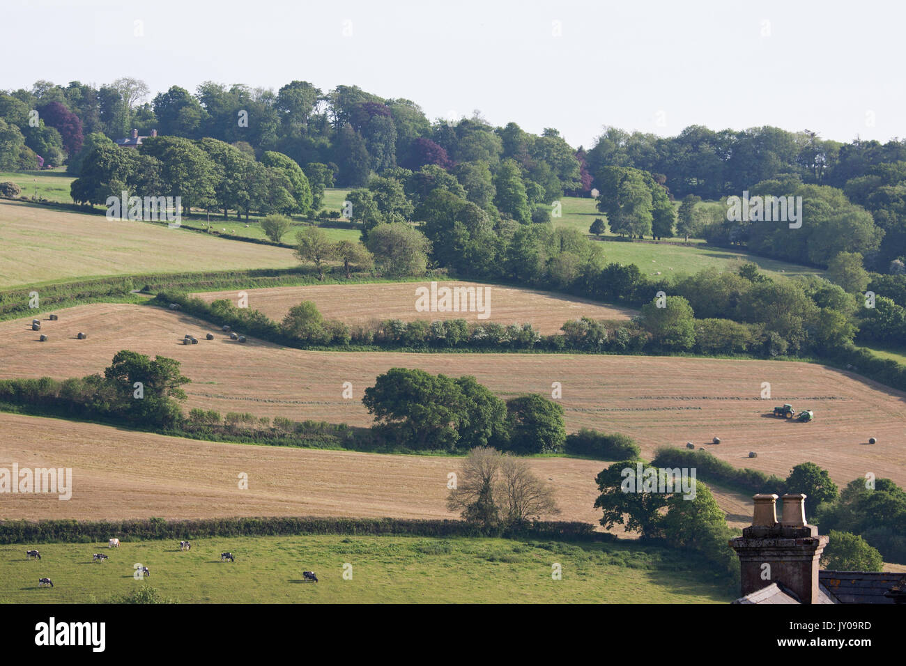 Farm scene during a late afternoon in early summer in the Torridge ...