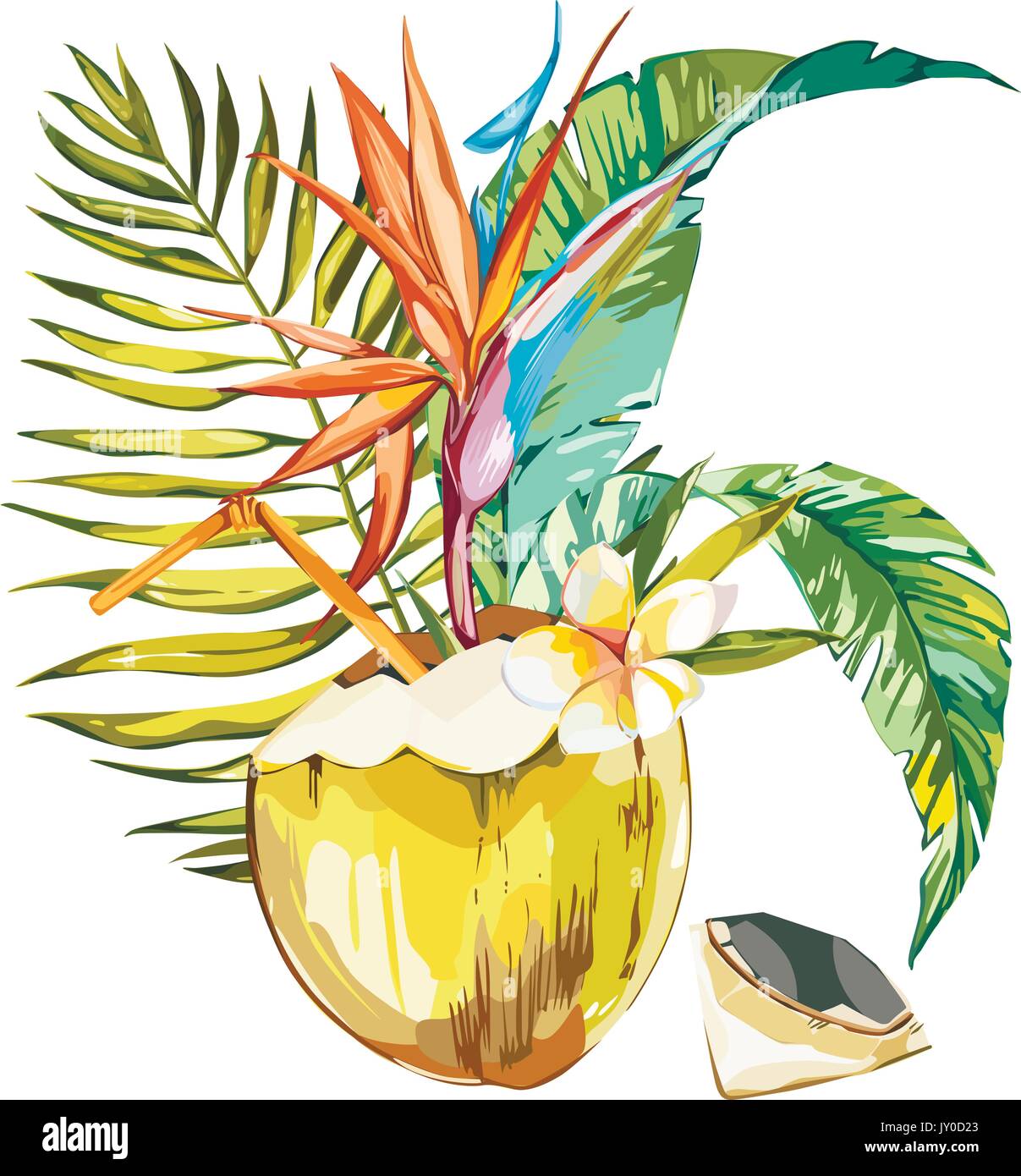 Vector coconut hand drawn sketch with palm leaf, plumeria and ...