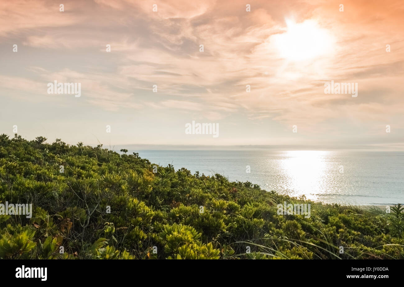 A view of the Atlantic Ocean from the dunes off of Cape Cod Stock Photo ...