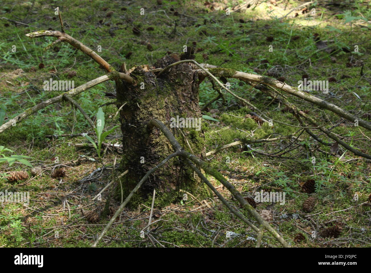 The super dark death hi-res stock photography and images - Alamy