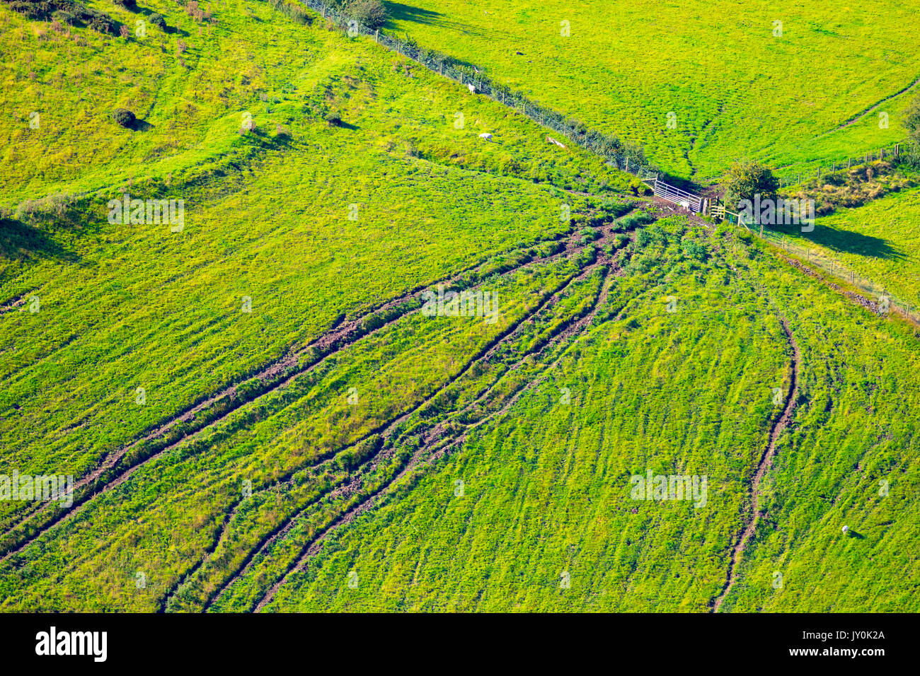 Sheep tracks hi-res stock photography and images - Alamy