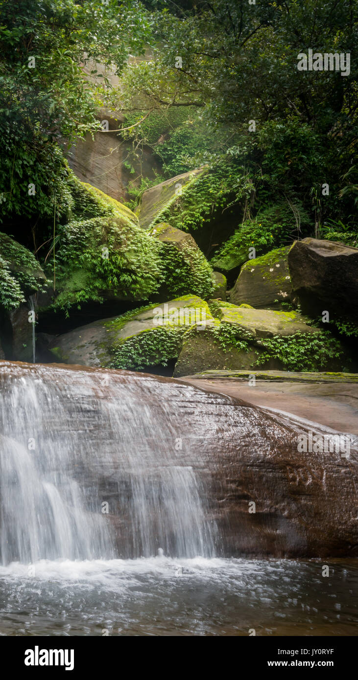 Stream in the tropical forest . Cascade falls over mossy rocks Stock ...