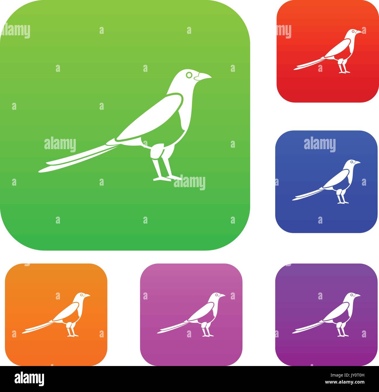 Bird magpie set collection Stock Vector Image & Art - Alamy