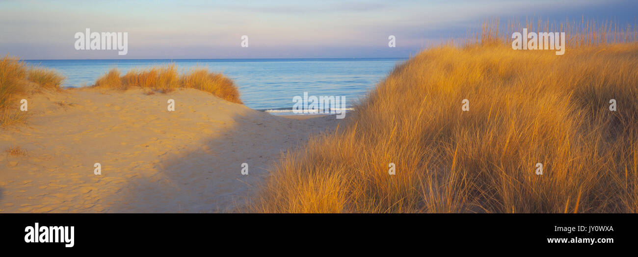 Path between sand dunes near ocean Stock Photo - Alamy