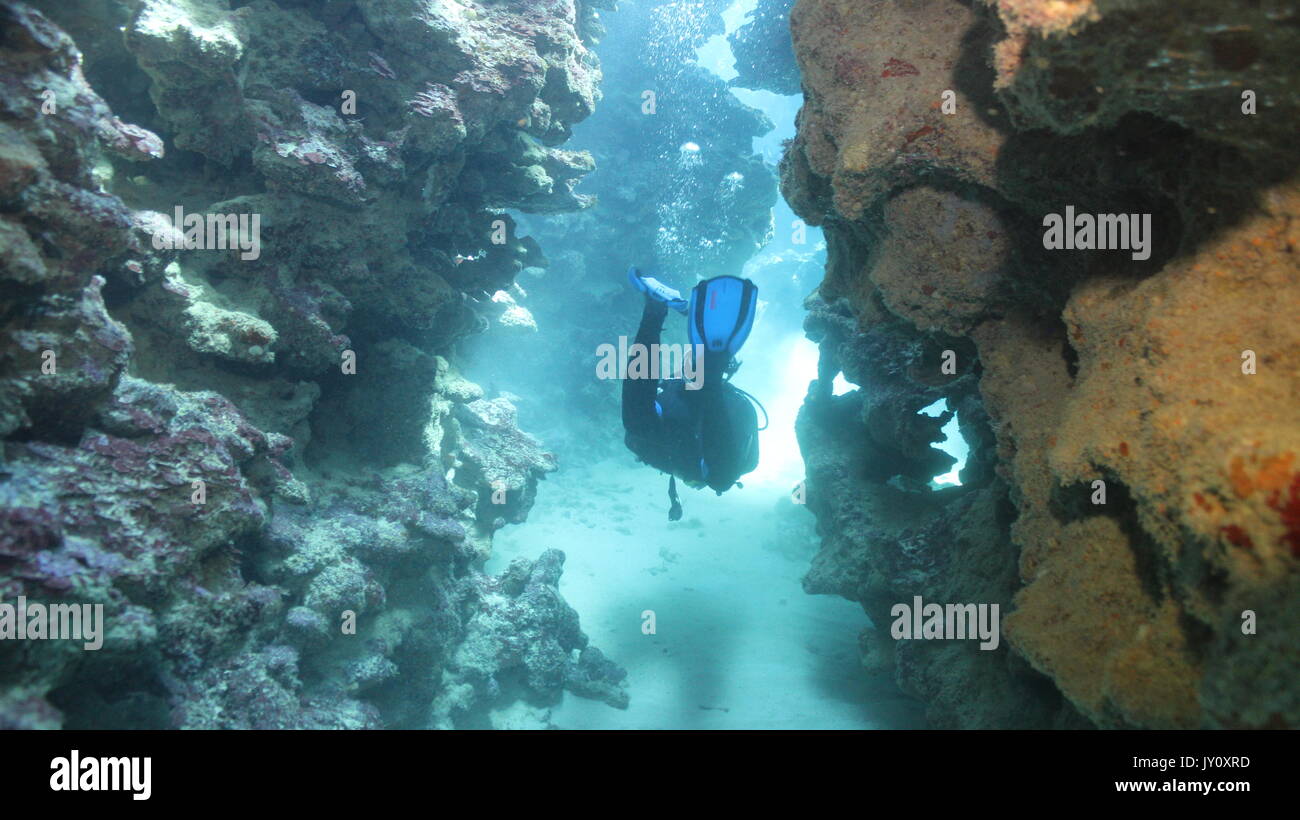 Scuba diver swimming through hi-res stock photography and images - Alamy