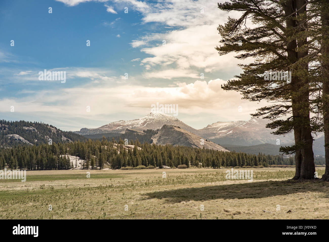 Shadow of tree in mountain landscape Stock Photo - Alamy