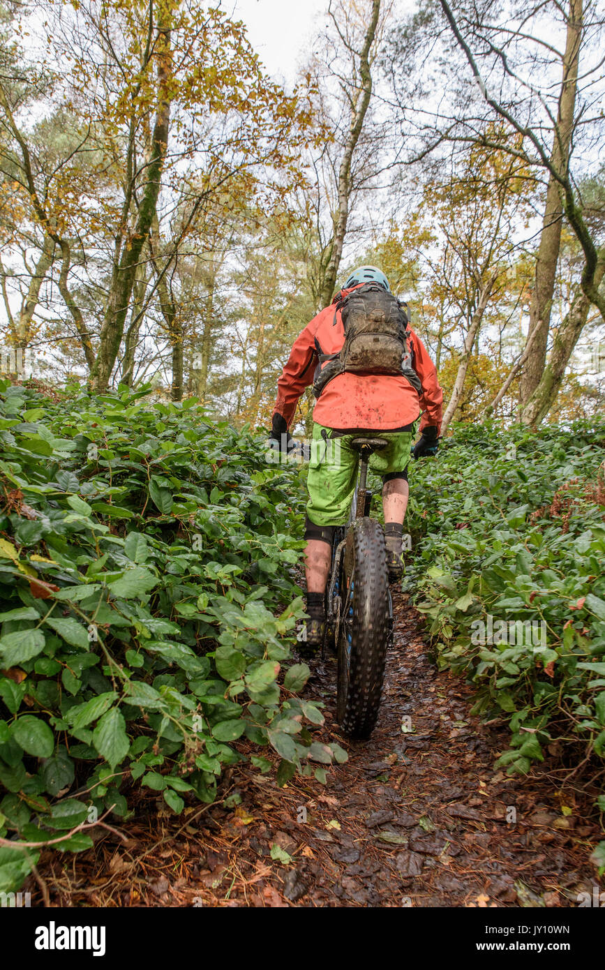 Fat american man forest hi-res stock photography and images - Alamy