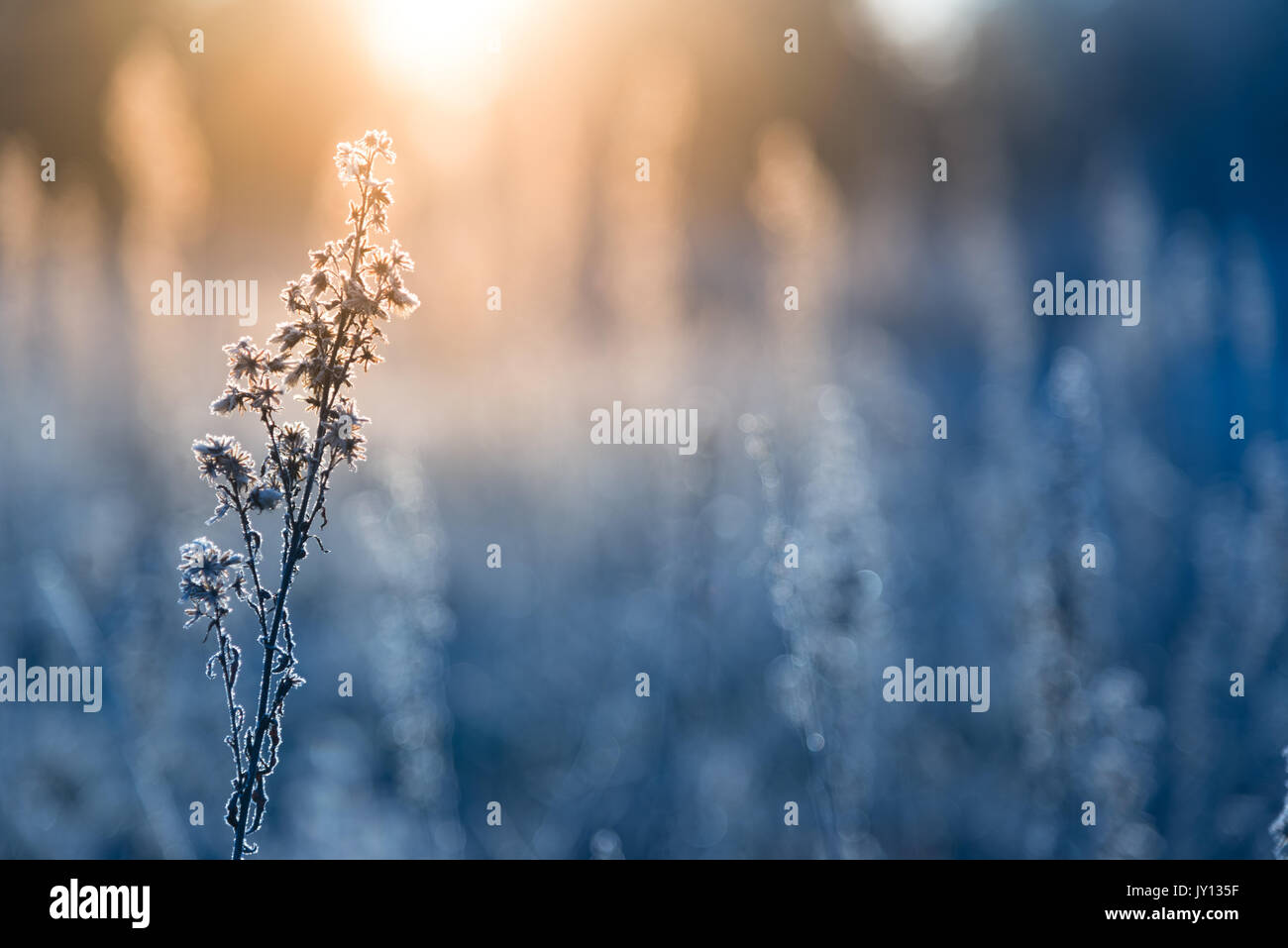 Ray of light Stock Photo - Alamy