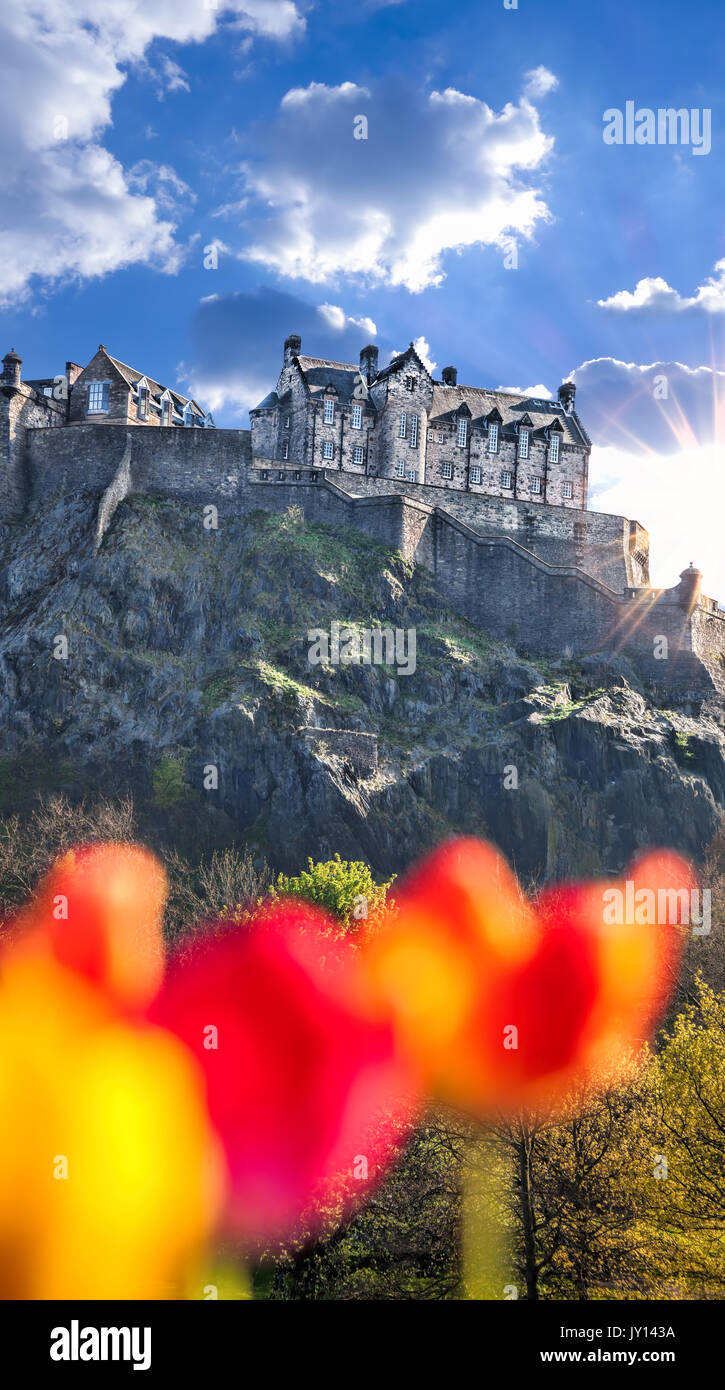 Edinburgh Castle with spring tulips in Scotland Stock Photo - Alamy