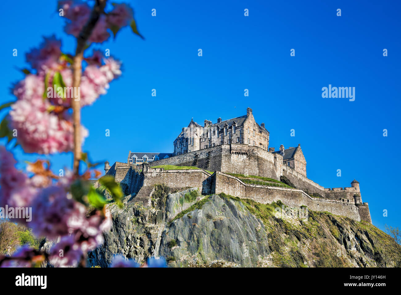 Edinburgh castle with spring tree in Scotland Stock Photo - Alamy