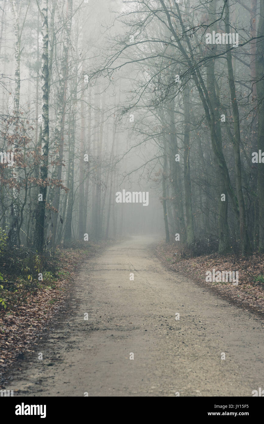 Evil forest fantasy hi-res stock photography and images - Alamy