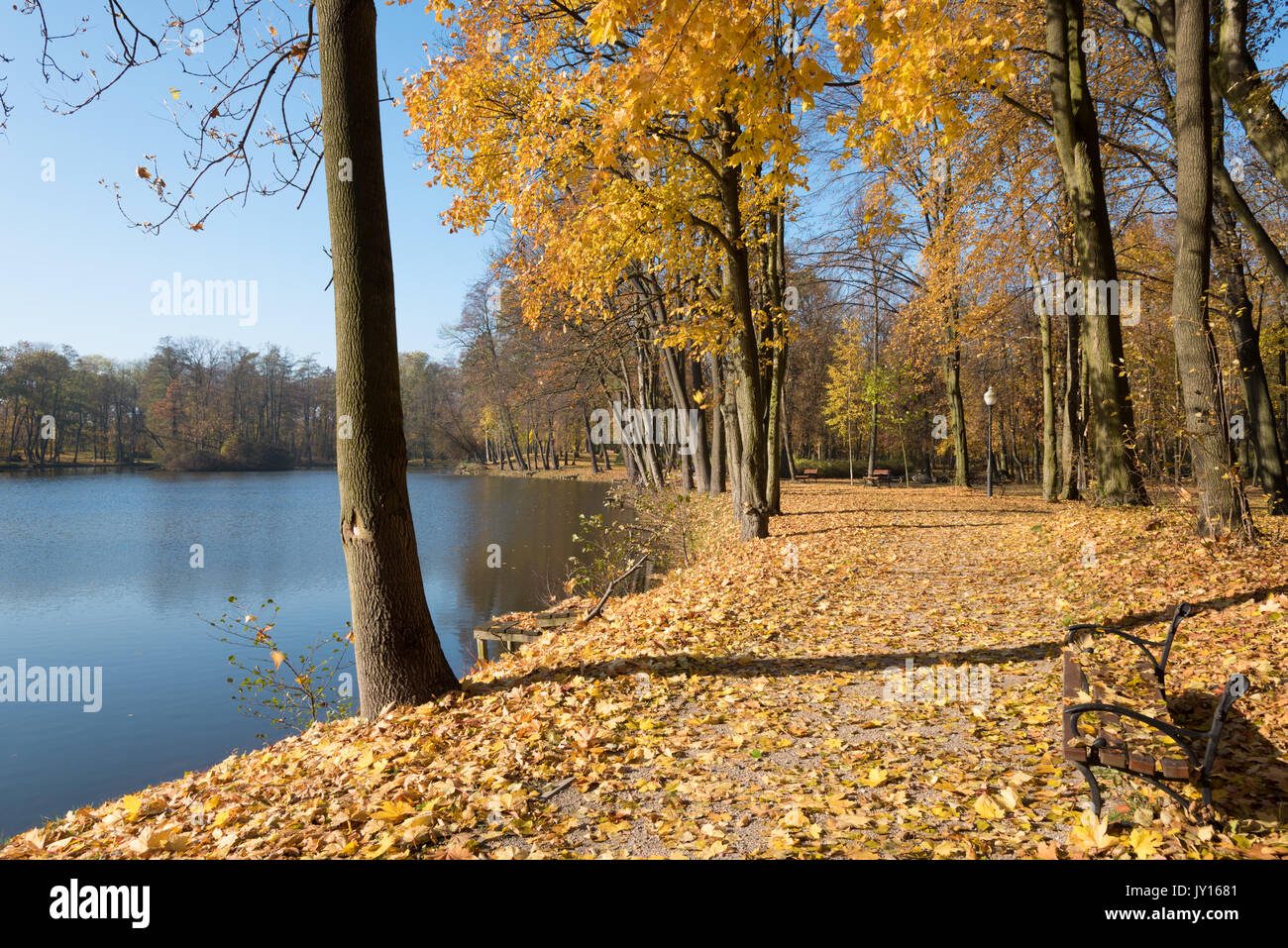 Pond in a park in vivid autumn colors Stock Photo - Alamy