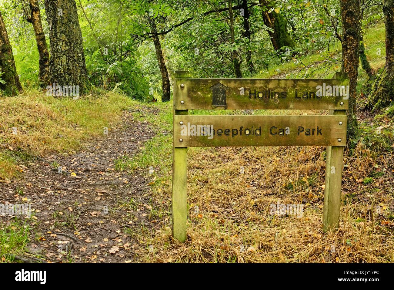 Far Kingsley Banks Stock Photo - Alamy