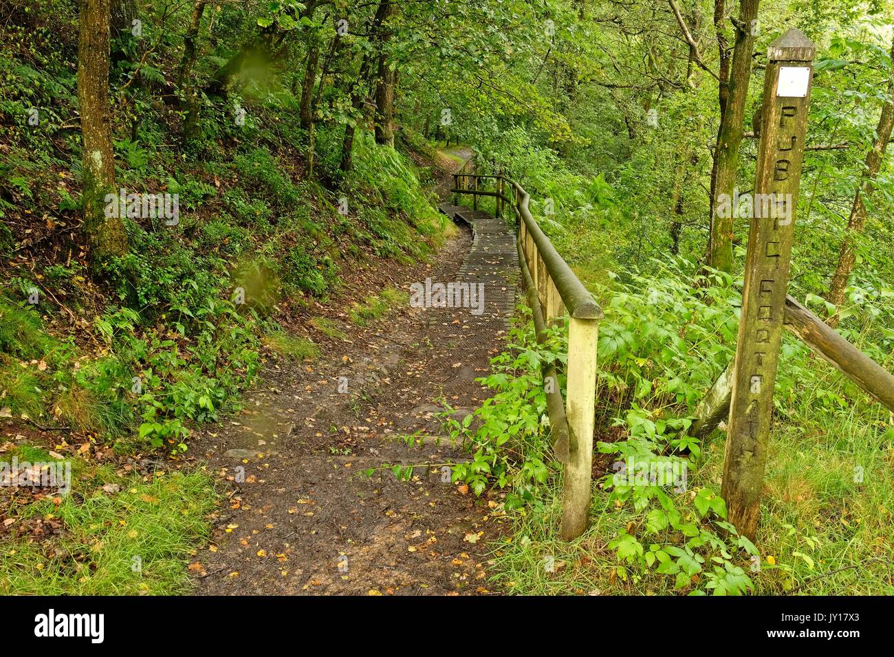 Consall nature park hi-res stock photography and images - Alamy