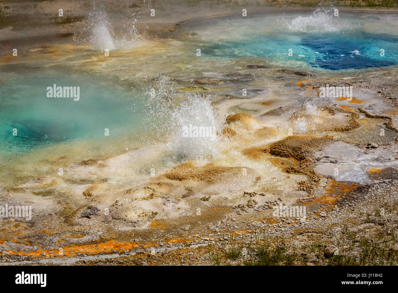 Erupting geysers in Spasmodic Geyser area, the Upper Geyser Basin ...
