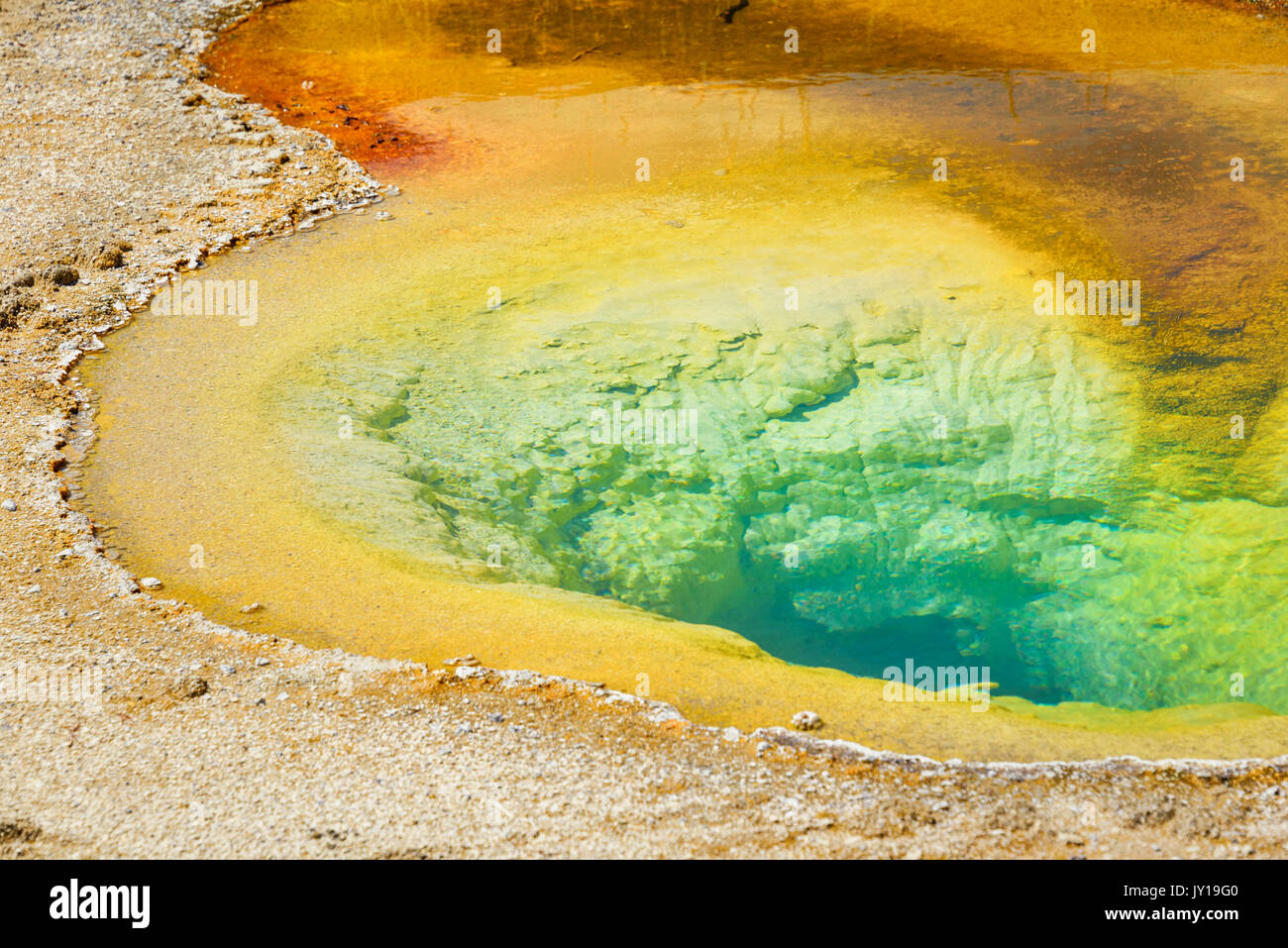 Bacterial pool hi-res stock photography and images - Alamy