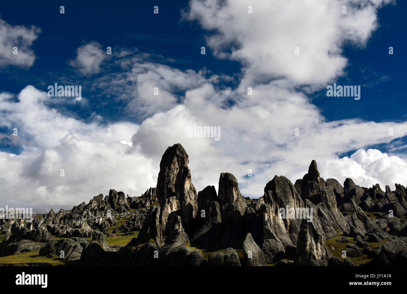 landscape at bosque de piedra - stone forest , in peru Stock Photo - Alamy