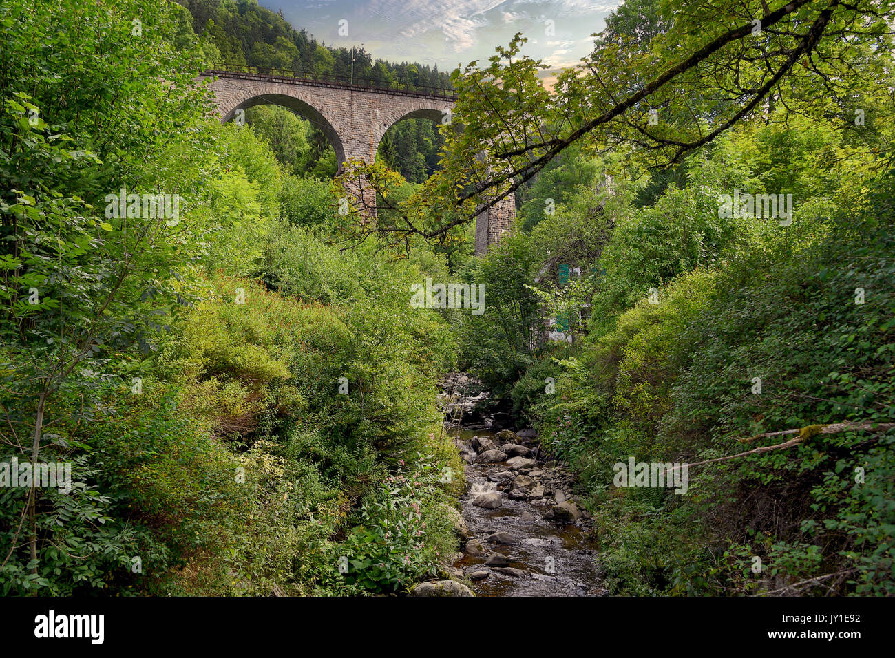 Black forest scenic train hi-res stock photography and images - Alamy