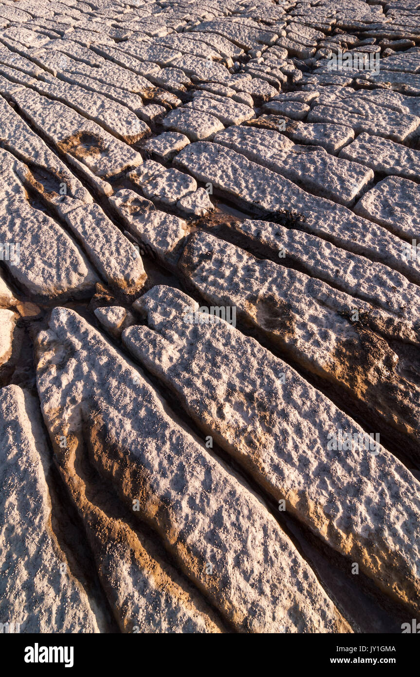 Textured patterned rock at Kilve beach, North Somerset, United Kingdom ...