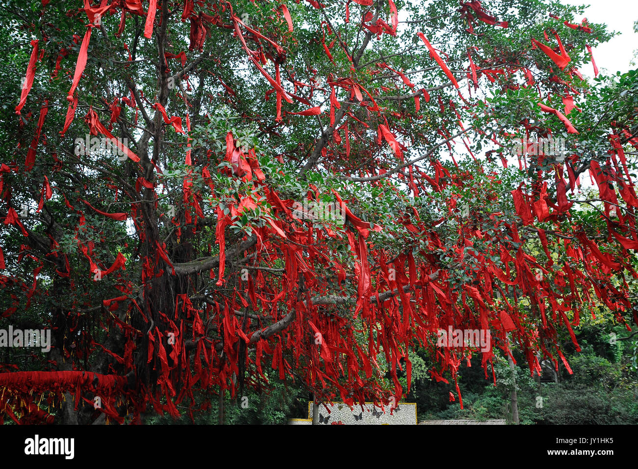 Red ribbons of desires on the tree by Buddhist temple Stock Photo - Alamy