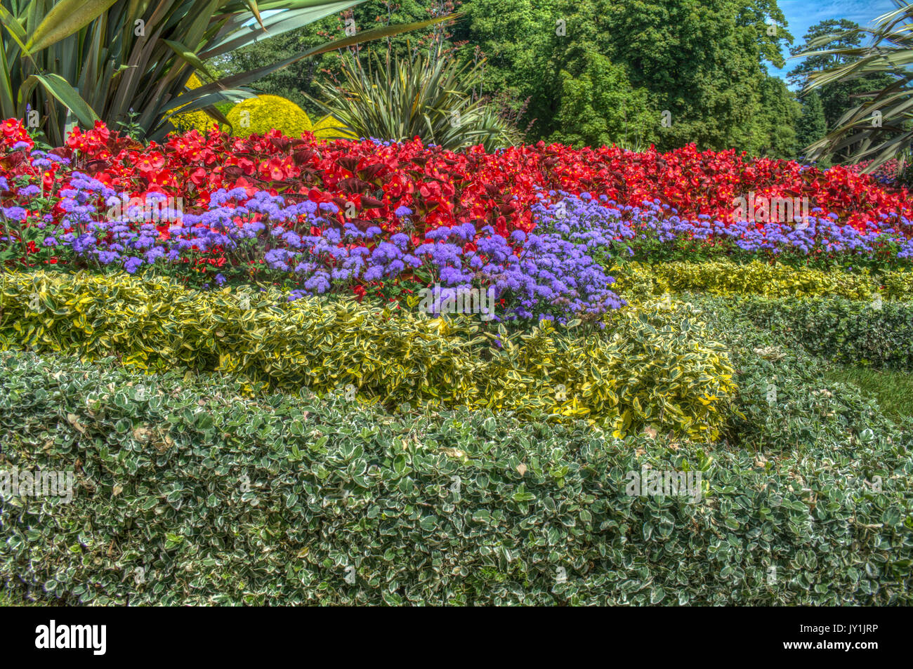 Hdr Flower Garden