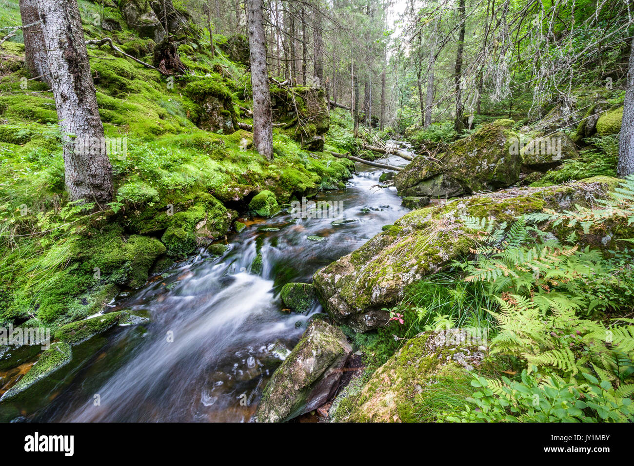 Water flow in a stream, long exposure Stock Photo - Alamy