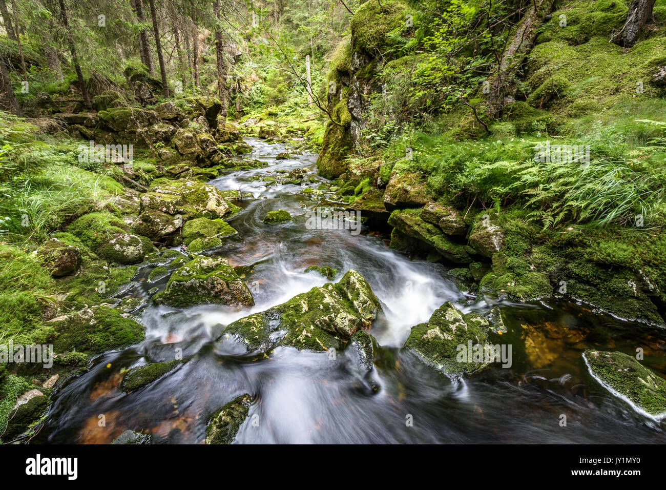 Water flow in a stream, long exposure Stock Photo - Alamy